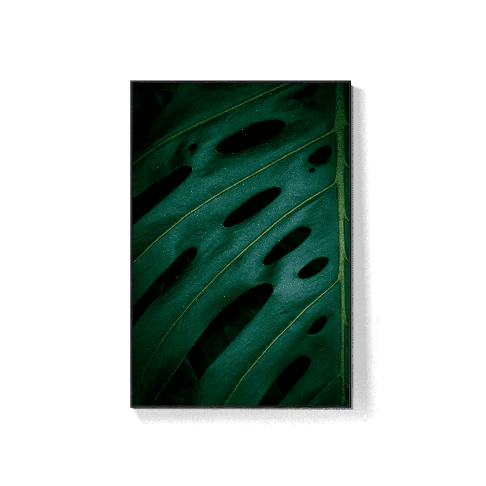 Obra Monstera Deliciosa II Minatto M veis Obra Monstera Deliciosa II Minatto M veis